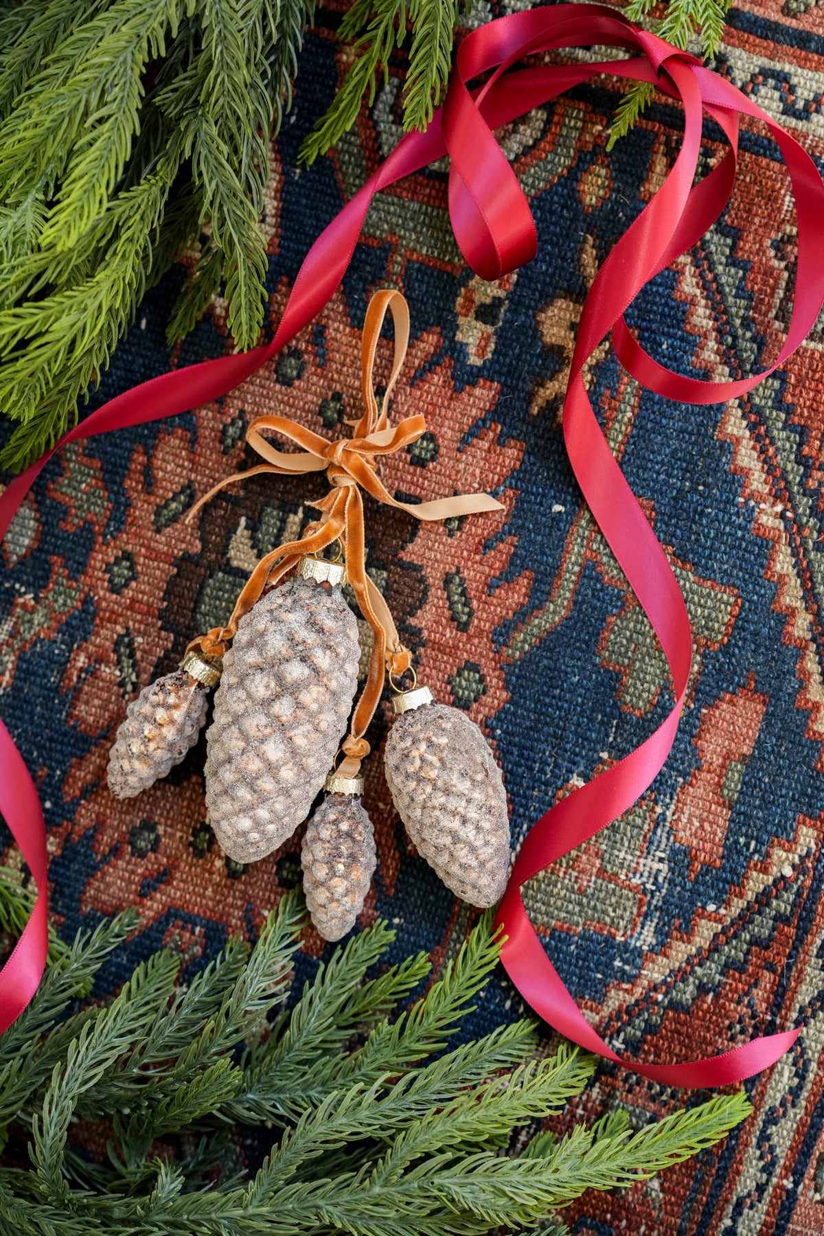 Acorn Bundle – Ashley Childers